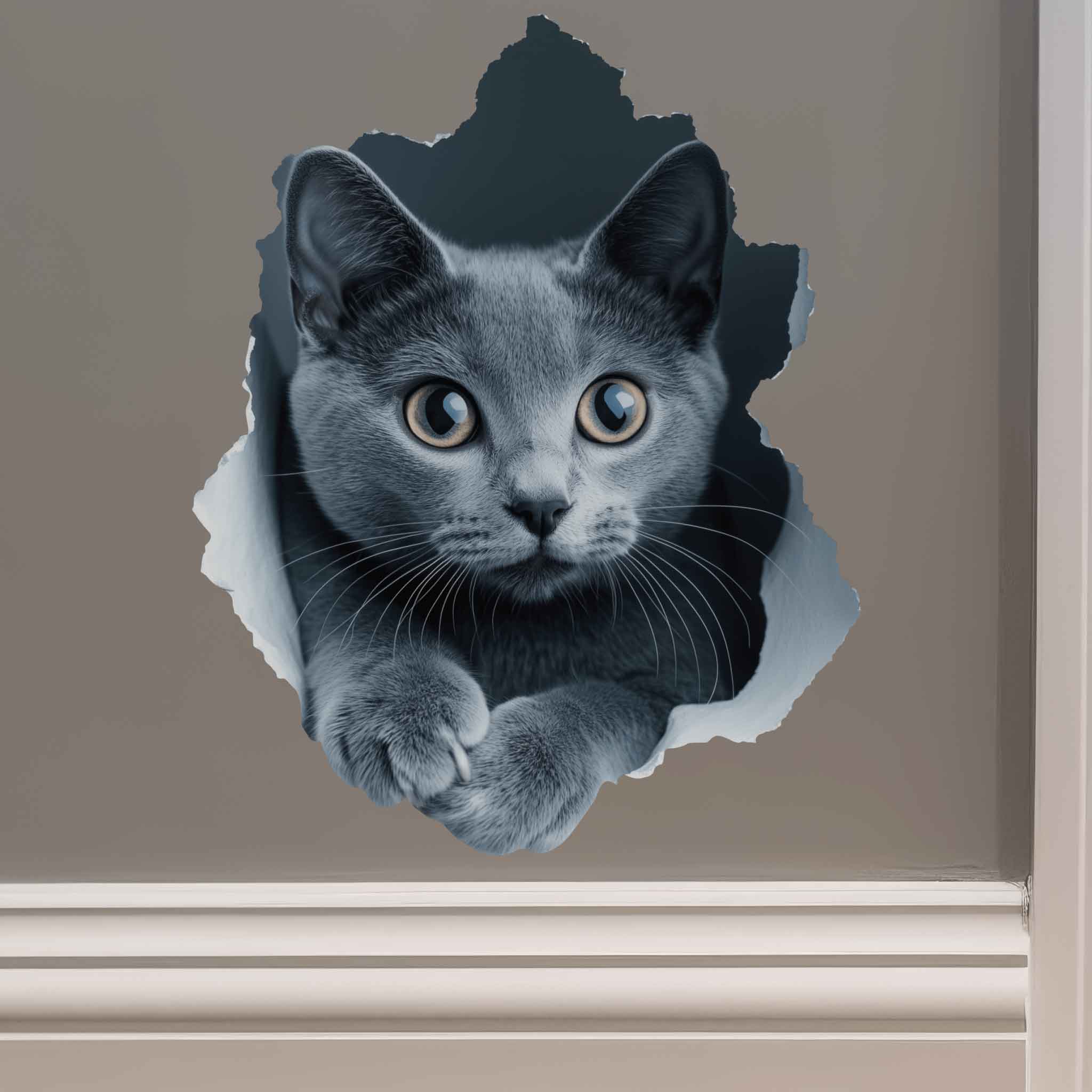 Gray Cat Hole Decal